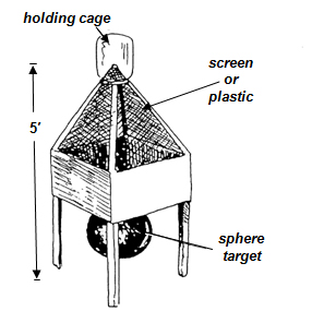 Manning_Trap | Plant Disease Diagnostics Clinic