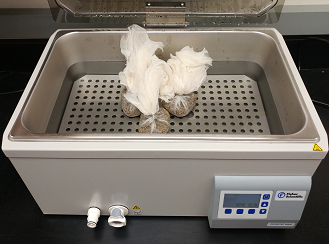 Hot-Water Seed Treatment for Disease Management | Plant Disease ...